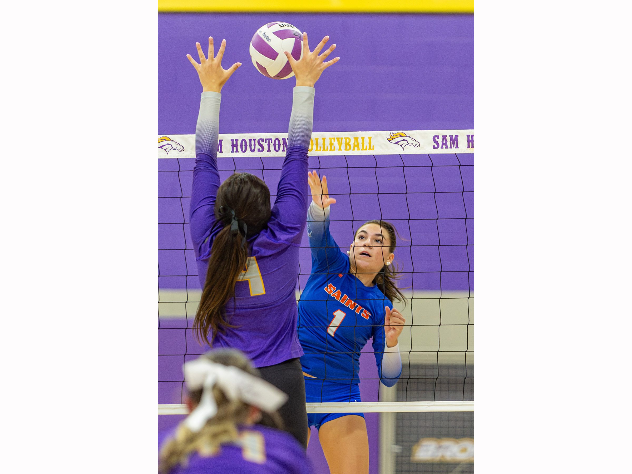 Area volleyball teams race to secure playoff berths | American Press